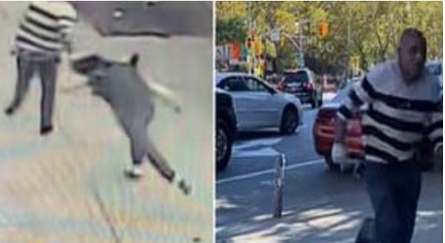 ركض خلفها وشد شعرها بقوة شاهد شخص يعتدي على امرأة وسط شارع في نيويورك