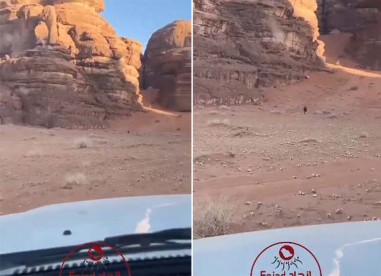 بالفيديو فريق إنجاد يعلن العثور على مفقودي جدة والكشف عن حالتهما الصحية